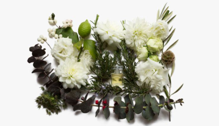 Home - International Development Dominique Andreani